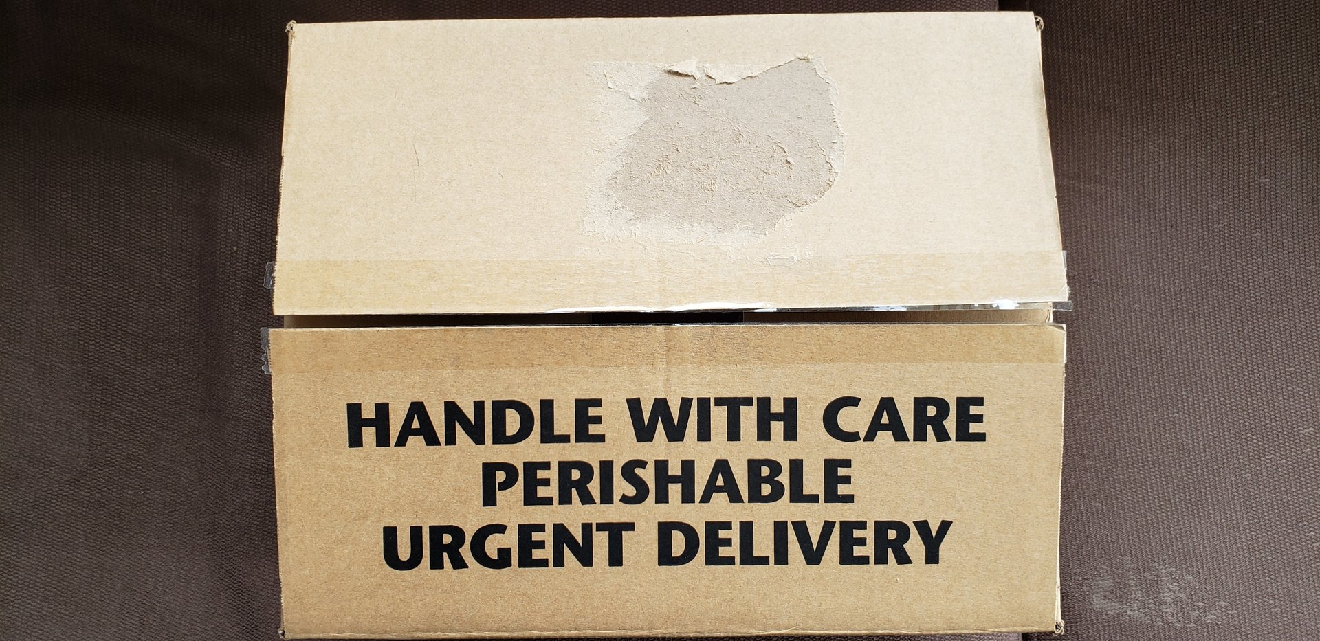 Optimizing Delivery Routes for Perishable Goods